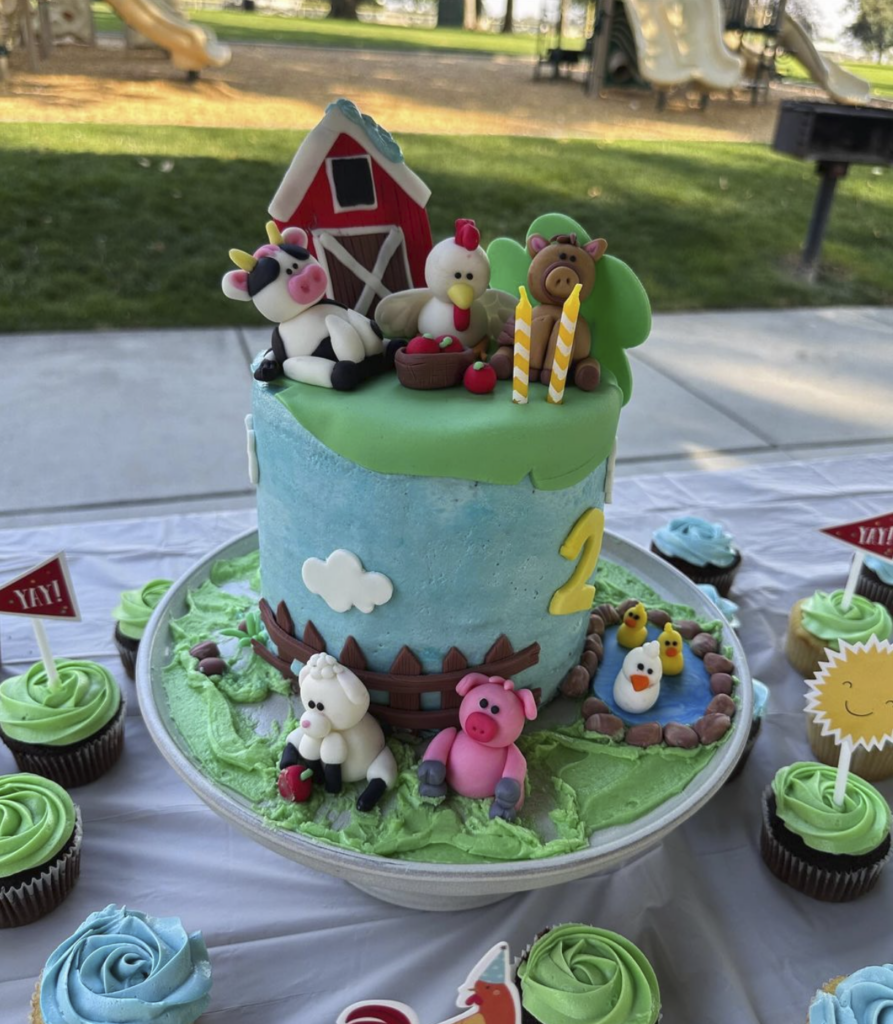 Boise Cakes: Country Homestead Bakery | Boise Cake Smash Photographer ...